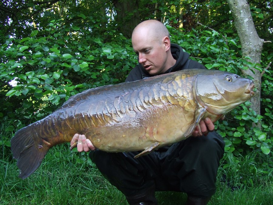 Vysoce atraktivní nástrahy - Karel Nikl